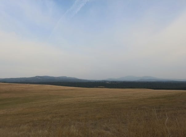 14xxx E Oregon, Elk, WA 99009 Land for Sale - realestate.com.au