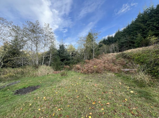 481 Appian Way, Winchester Bay, OR 97467 Other for Sale - realestate.com.au