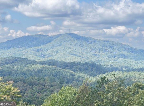 251 Angel Heart Lane, Mineral Bluff, GA 30559 House for Sale ...