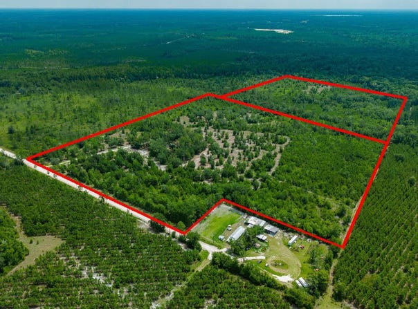 1013 SE RED CASON DRIVE, LuLu, FL 32061 House for Sale - realestate.com.au