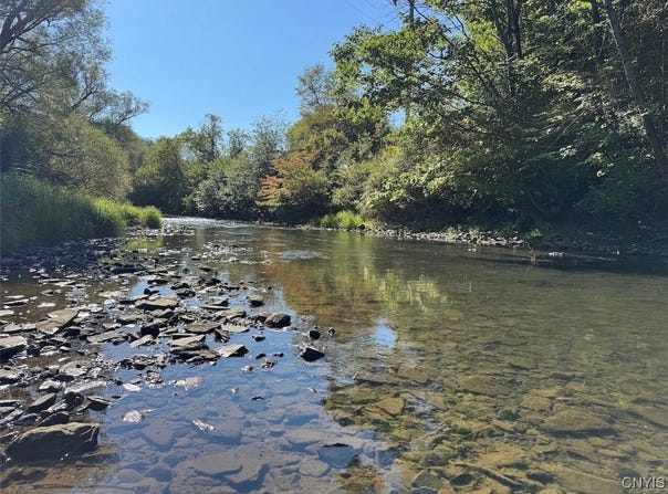 5979 Route 16, Hinsdale, NY 14743 Other for Sale - realestate.com.au