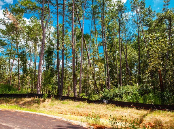 Lot 19 Leyland Court, Clarks Hill, SC 29821 Other for Sale - realestate ...