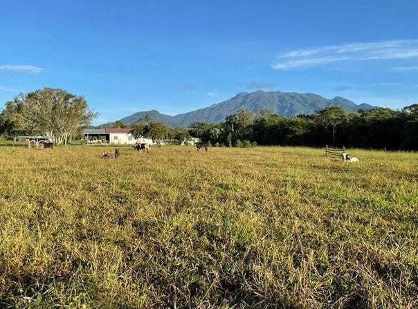 POTRERILLOS ARRIBA, DOLEGA, CHIRIQUI, Dolega, Chiriqui Rural for Sale ...