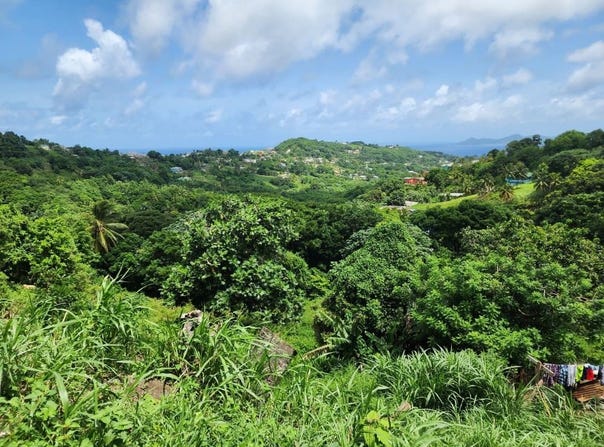 Fountain, St. Vincent, Address available on request Land for Sale ...