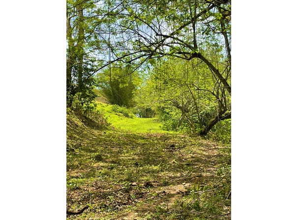 ROTHSEY COVE HARDING HALL, Green Island, Hanover Parish Land for Rent ...