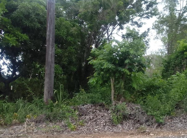 157 TORADA HEIGHTS, IRONSHORE, Ironshore, St. James Parish Land for ...