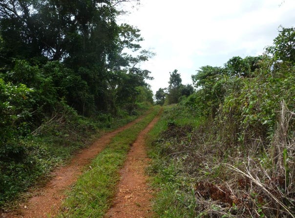 MANGO VALLEY, 993, St. Mary Parish Land for Sale - realtor.com