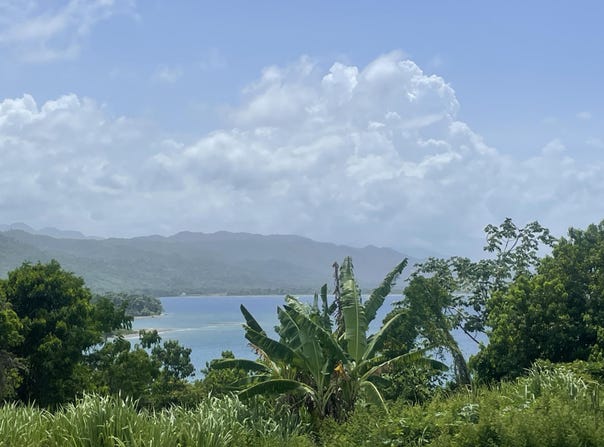 SNOW HILL, PORTLAND, Snow Hill, Portland Parish Land for Sale ...