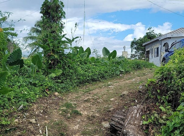 RODNEY HALL ROAD, LINSTEA, Linstead, Saint Catherine Parish Land for ...