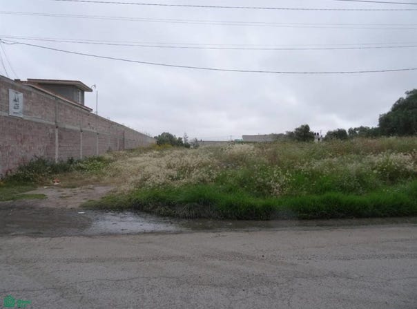 Del Panteón S/N, San Pablo Tecalco, Tecámac, México, Tecamac de Felipe ...