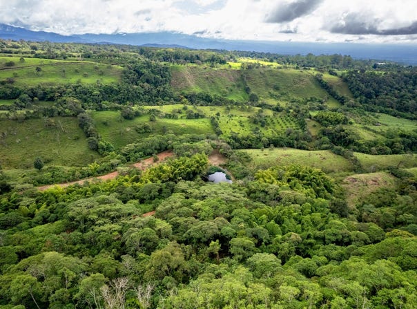 CALLE S BARRIDA, Dolega, Chiriqui Land for Sale - RealEstate KH