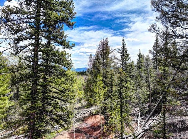 258 OLD SQUAW ROAD, Como, CO 80432 Other for Sale - realestate.com.au