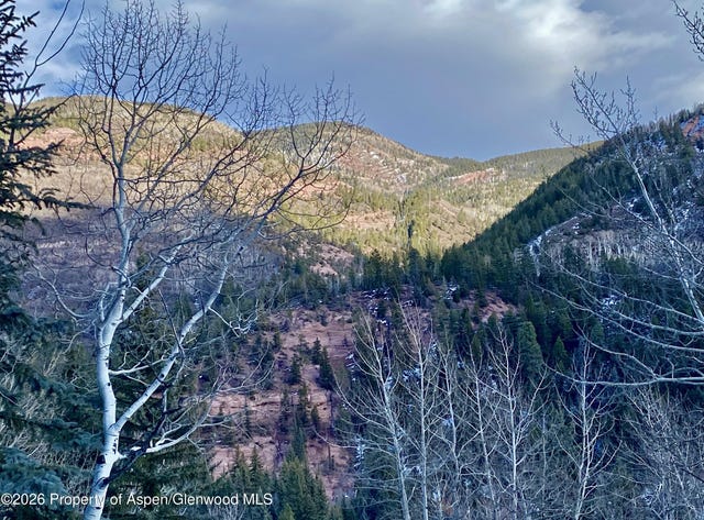 250 Elk Mountain Drive, Redstone, CO 81623 Other for Sale - realestate ...