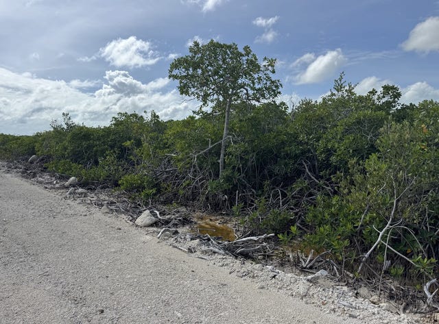 Ambergris Caye Land For Sale, Ambergris Caye, Ambergris Caye, Ambergris ...