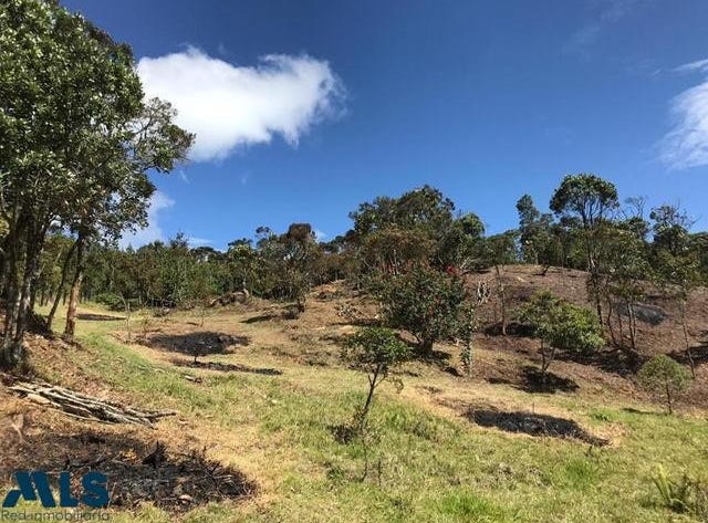 Last updated on : 13 Jan 2026