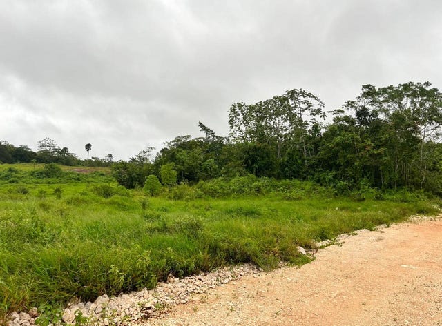 XFHV+MWV, Knockpatrick, Jamaica, Knockpatrick, Manchester Parish Land ...