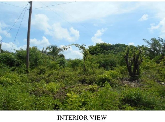 DENBEIGH CLARENDON, Denbigh, Clarendon Land for Sale - housing.com