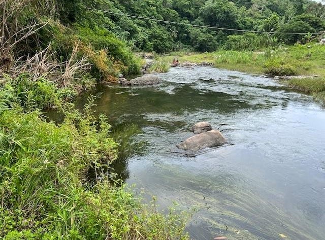 BROADGATE, AGUALTA VALE, Broadgate, St. Mary Parish Land for Sale ...