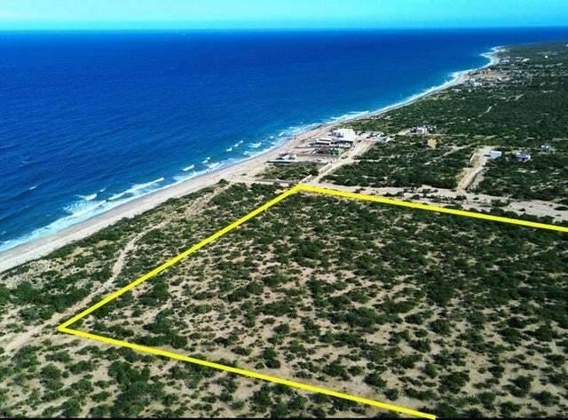 St Teresa Lot, Octopus Beach -, Boca del Álamo, La Paz, Baja California ...