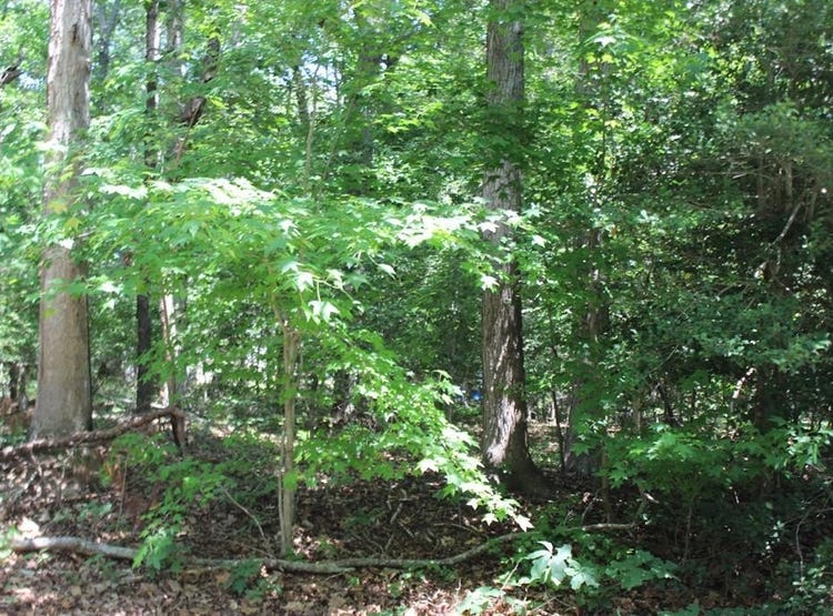 112 CUSTOM DR lot: 112, GREENBACKVILLE, VA 23356 Other for Sale ...