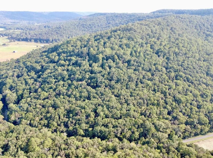 80ac Johnson Hollow Road, Grant, AK 35747 Other for Sale - realestate ...