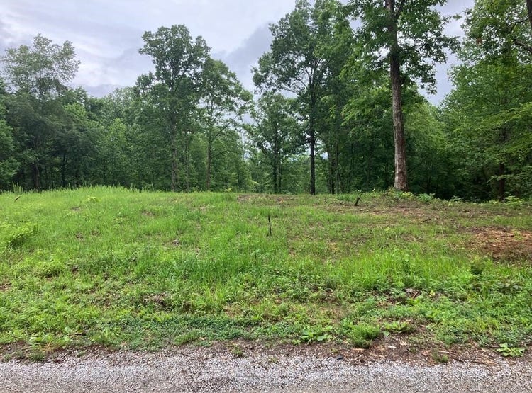 213 Wynn Ferry, BIG SANDY, TN 38221 Other for Sale - realestate.com.au
