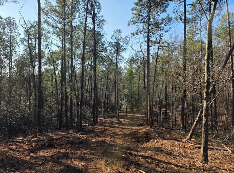 15.5a Berry Lane, Beech Island, SC 29842 Other for Sale - RealEstate KH