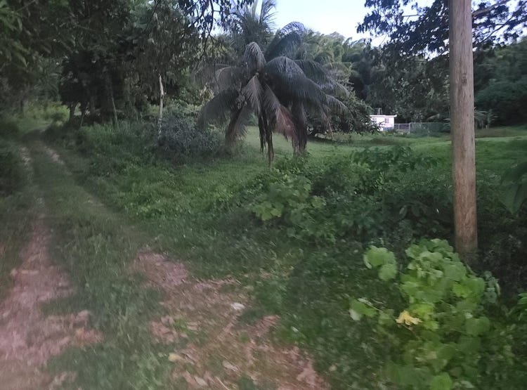 Lucea, Hanover Parish, Address available on request Land for Sale ...