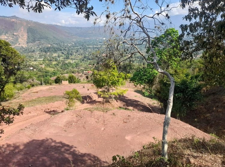 MIRADORES DE LA RESERVA LOTE 3 VEREDA EL PAJONAL, Piedecuesta ...