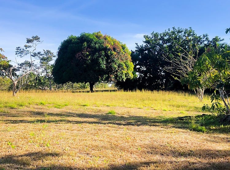 Last updated on : 06 Jan 2026