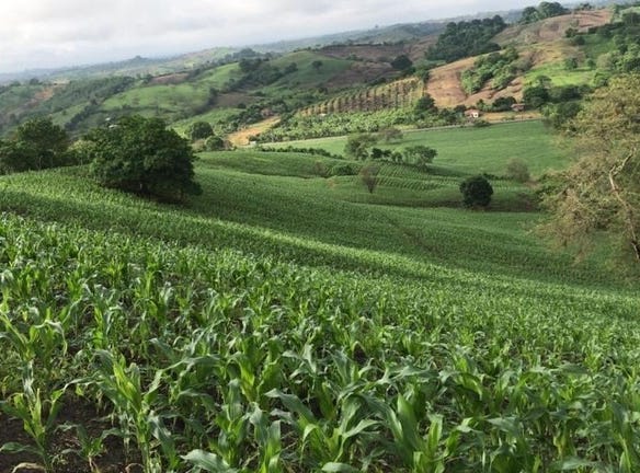 Last updated on : 23 Dec 2025