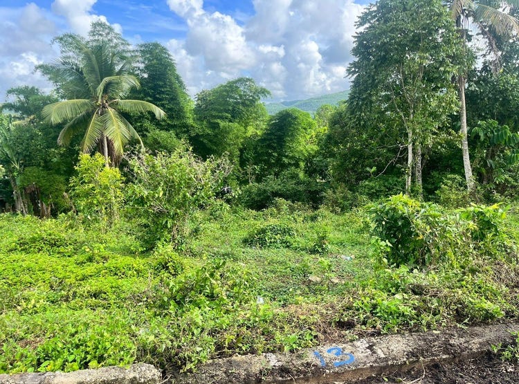 4XCW+4CQ, Church Rd, Tulloch, Jamaica, Linstead, Saint Catherine Parish ...