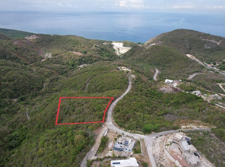 BLUE MOUNTAIN ROAD, 2890, St. Thomas Land for Sale - realtor.com