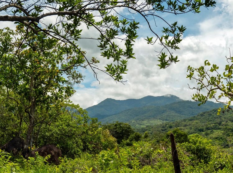 FLAT LAND IN BOQUETE CALDERA, Boquete, Chiriqui Land for Sale ...
