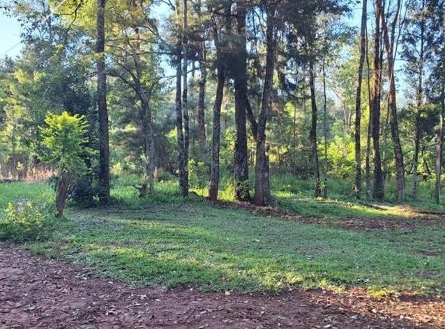 Last updated on : 31 Dec 2025