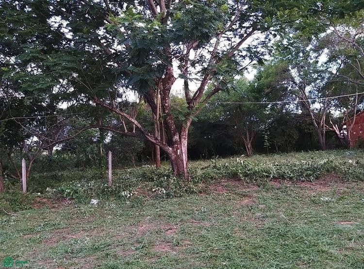 Salado - Limpio s/n, Limpio, Central, Limpio, Central Department Land ...