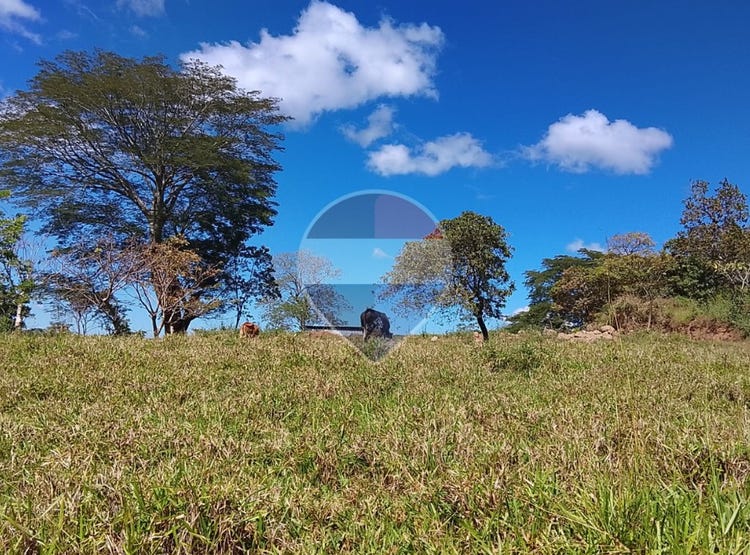 CANTÓN EL BAÑADERO, PORCIÓN 2, Guacotecti, Cabañas, Guacotecti, Cabañas ...