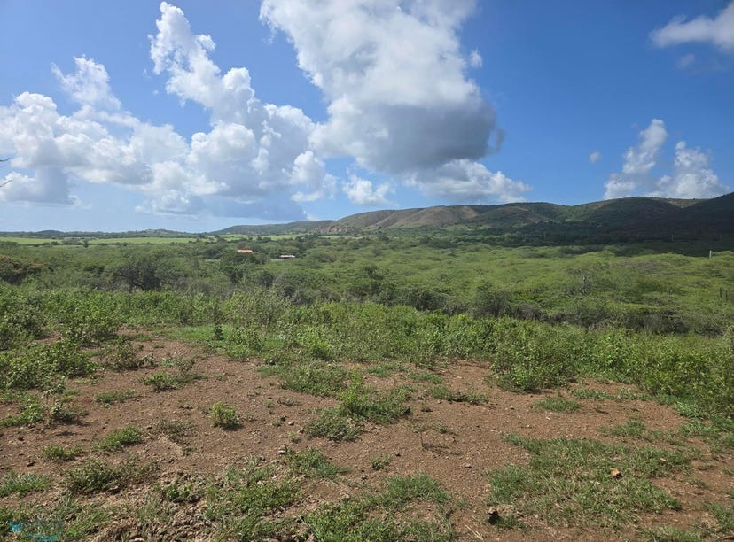 LLanos Costas, Cabo Rojo 00623, Address available on request Other for ...