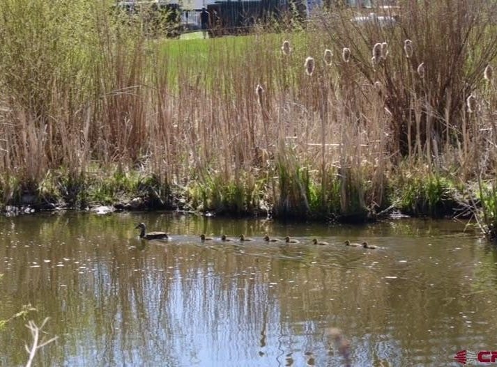 10200 W Highway 160, Pagosa Springs, CO 81147 House for Sale ...