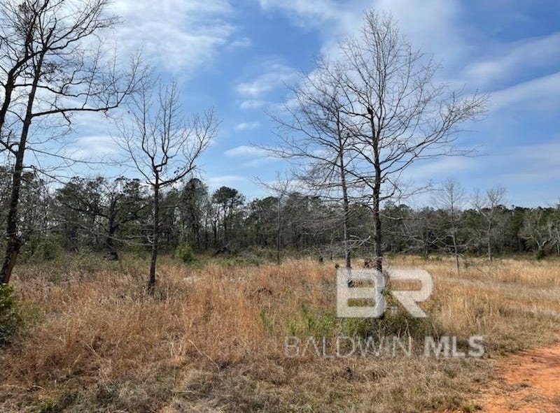 10765 Mary Ann Beach Road lot: 7, Fairhope, AL 36532 Other for Sale ...