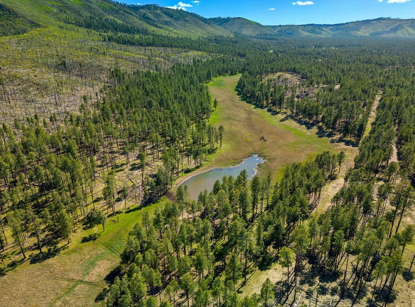 20239 Red Hill Road, Clifton, AZ 85533 Rural for Sale - RealEstate KH