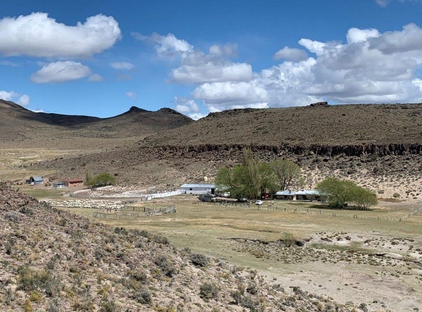Campo 22 leguas entre Telsen y Gan Gan, Telsen, Chubut Province Rural ...