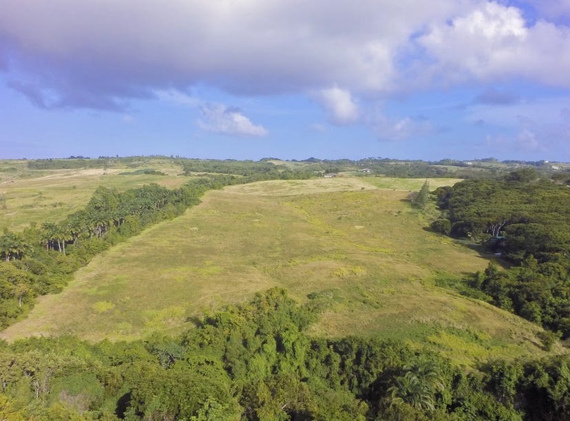 Last updated on : 15 Jan 2026