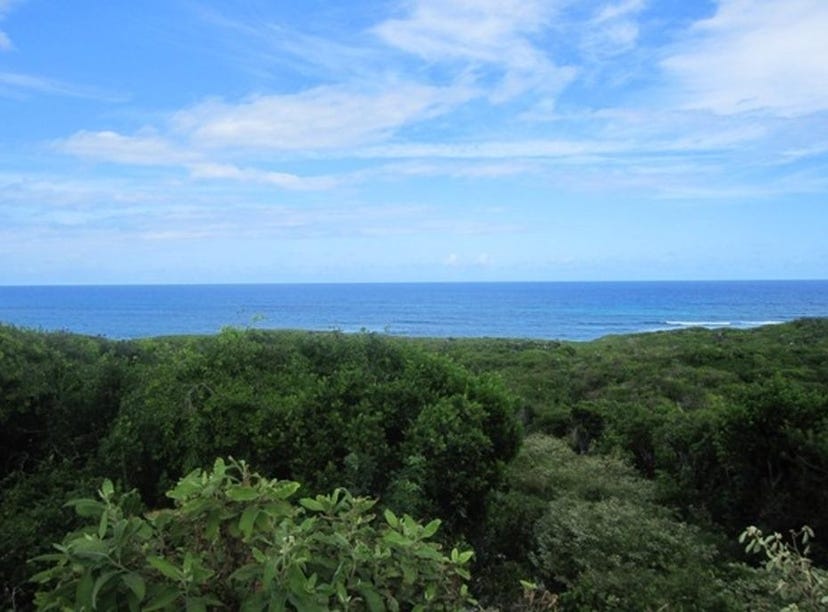 SCRUB HILL LOT 1, Long Island, Long Island Land for Sale - realtor.com