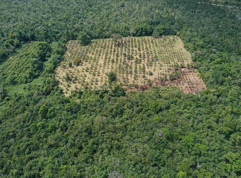 Southern Highway, Stann Creek District, Stann Creek District Land ...