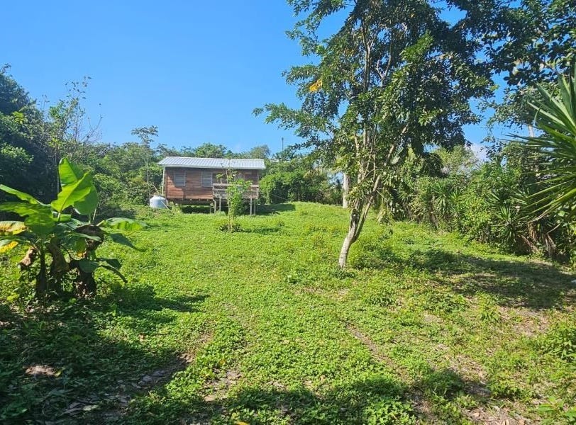 Bullet Tree Falls Village, Bullet Tree Falls, Cayo District, Bullet ...