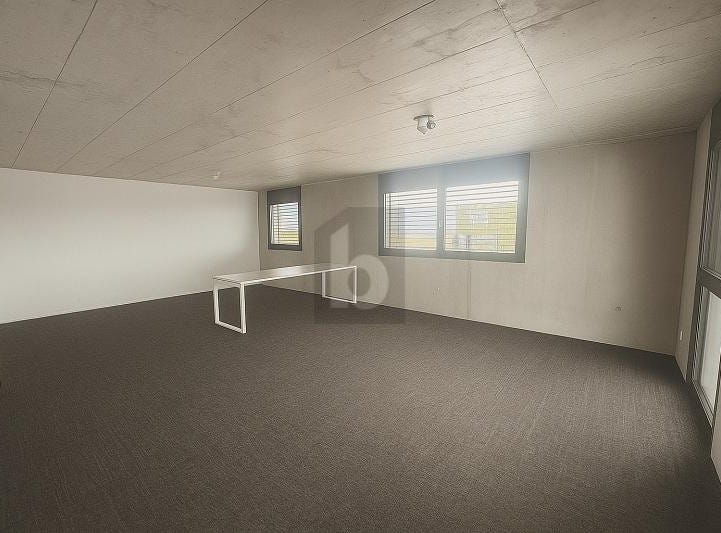 Sâles (Gruyère), Fribourg (canton) 1625 Offices for Rent - realestate ...