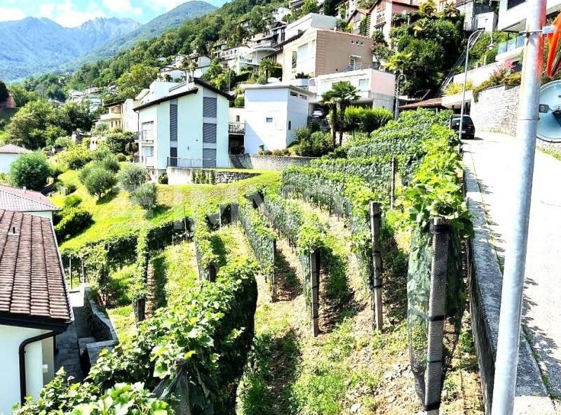 Gordola, Ticino 6596 Land/Development for Sale - realestate.com.au
