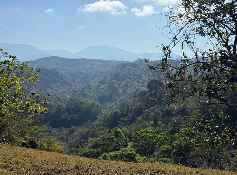 Last updated on : 02 Jun 2026