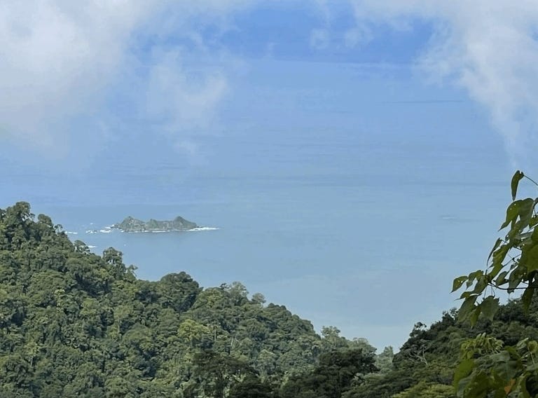 83 ACRES â€“ Epic Ocean View Acreage With Natural Spring, Waterfalls ...